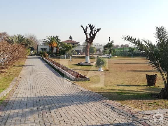 Primary Location Beautiful Farm House For Sale Orchard Scheme ...