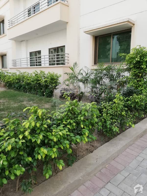 Brand New Flat For Rent In Askari 11 Lahore Askari 11, Askari, Lahore ...
