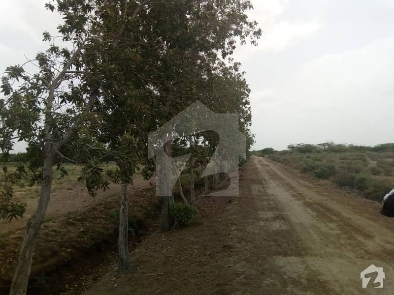 16 Acre Land In Muradani Road Taluka Mirpur Sakro Thatta Ghulamullah ...