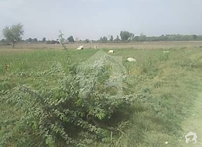 Agricultural Land and Agriculture Plots for Sale in Pakistan - Zameen.com