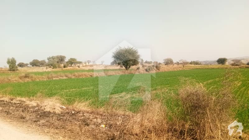 875 Acres Land On Main Pakki Road Near Shah Pur Shahpur, Sargodha ...